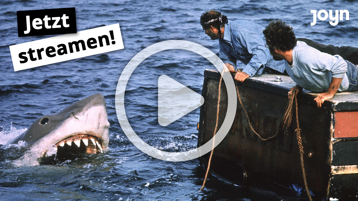 "Der weiße Hai": Diese 5 Fakten kommen überraschend!