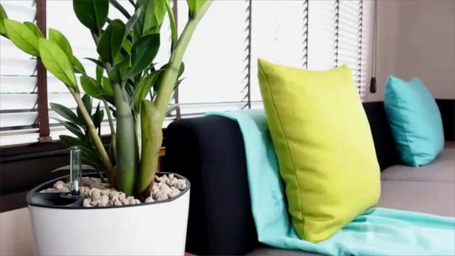 Diese 4 Fakten über IKEA kanntest du noch nicht | Sat1gold Diese 4 Fakten über IKEA kanntest du noch nicht | Sat1gold